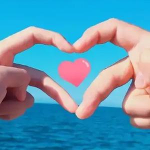 最新！OPPO杭州全球总部易主！山子高科出资17.8亿接手 - 今日头条