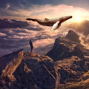 解密FAU：光模块高密度互联的“隐形引擎”与国产突围战！ FAU（Fiber Array Unit，光纤阵列单元）是光通信领域不可或缺的核心无 ...